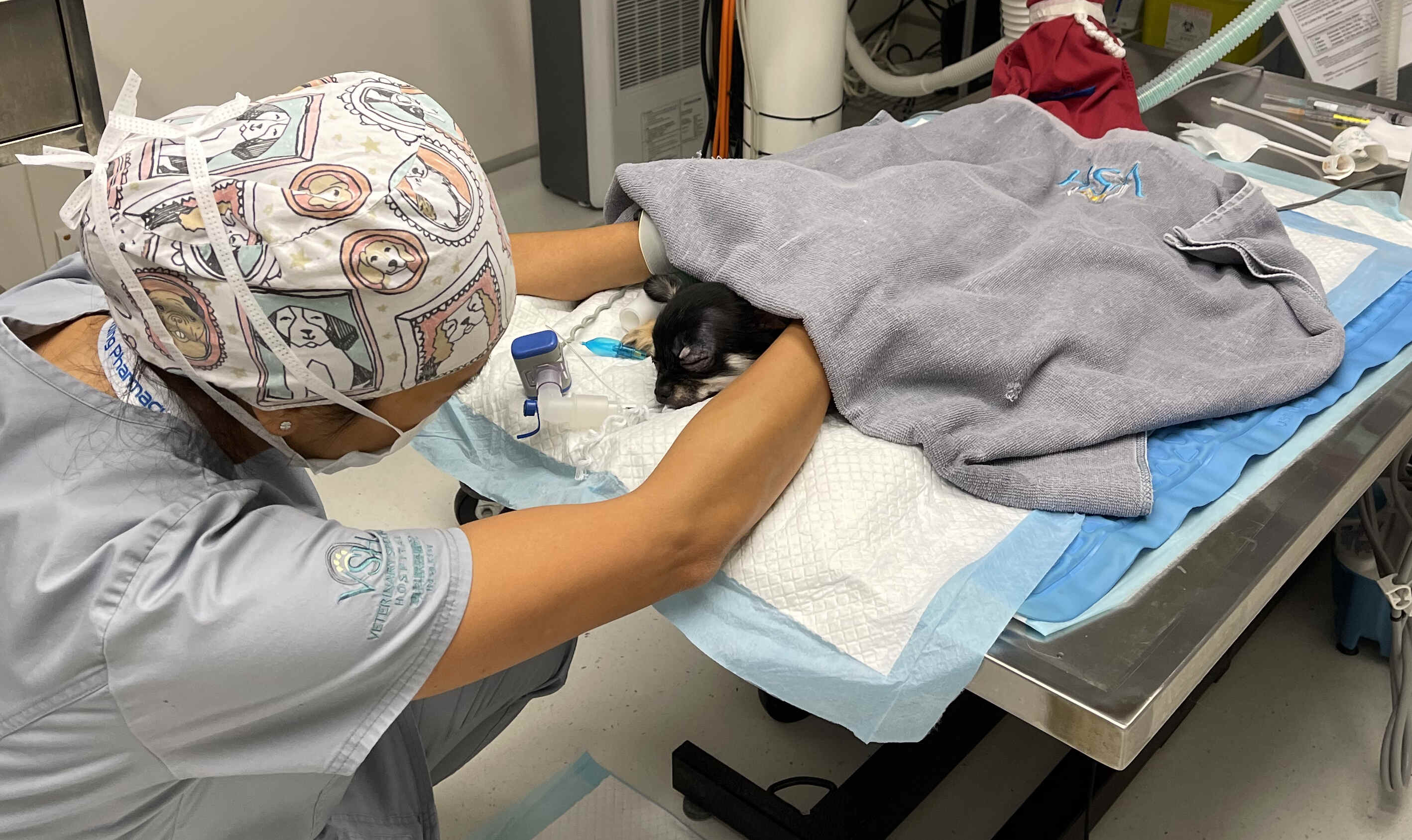 Anaesthesia & Pain Management at VSH | VSH Hong Kong